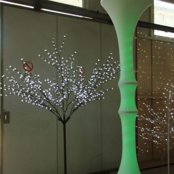 Inchiriere Copac luminos , un decor pentru exterior si interior - Event ...
